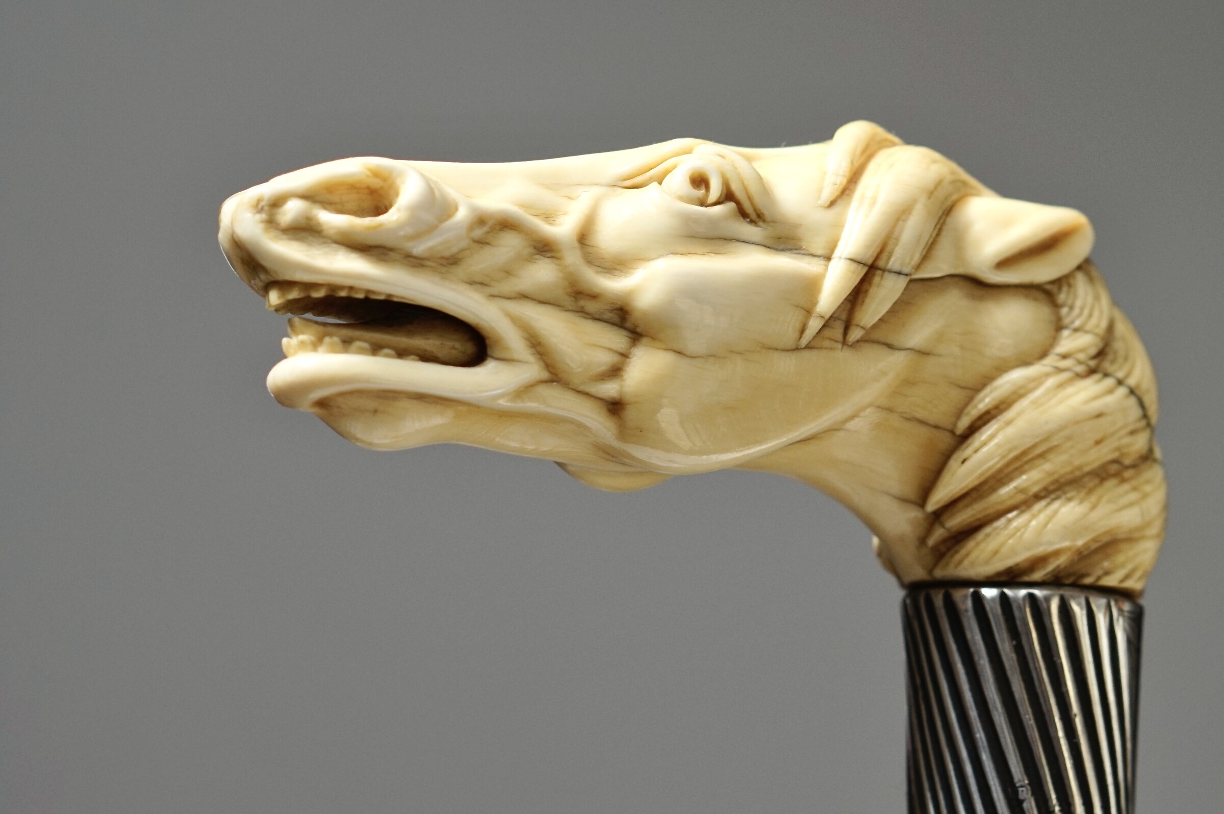 A Large Horse-head Cane. America, ca. 1890 - Decorative - Single ...